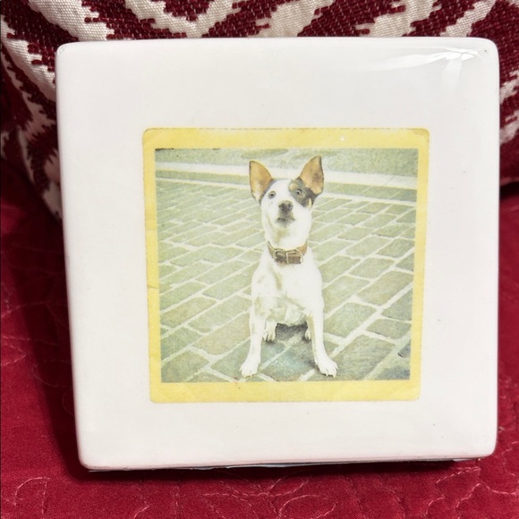 Rae Dunn | Accents | Rae Dunn Artisan Collection Dog I Need Coffee ...